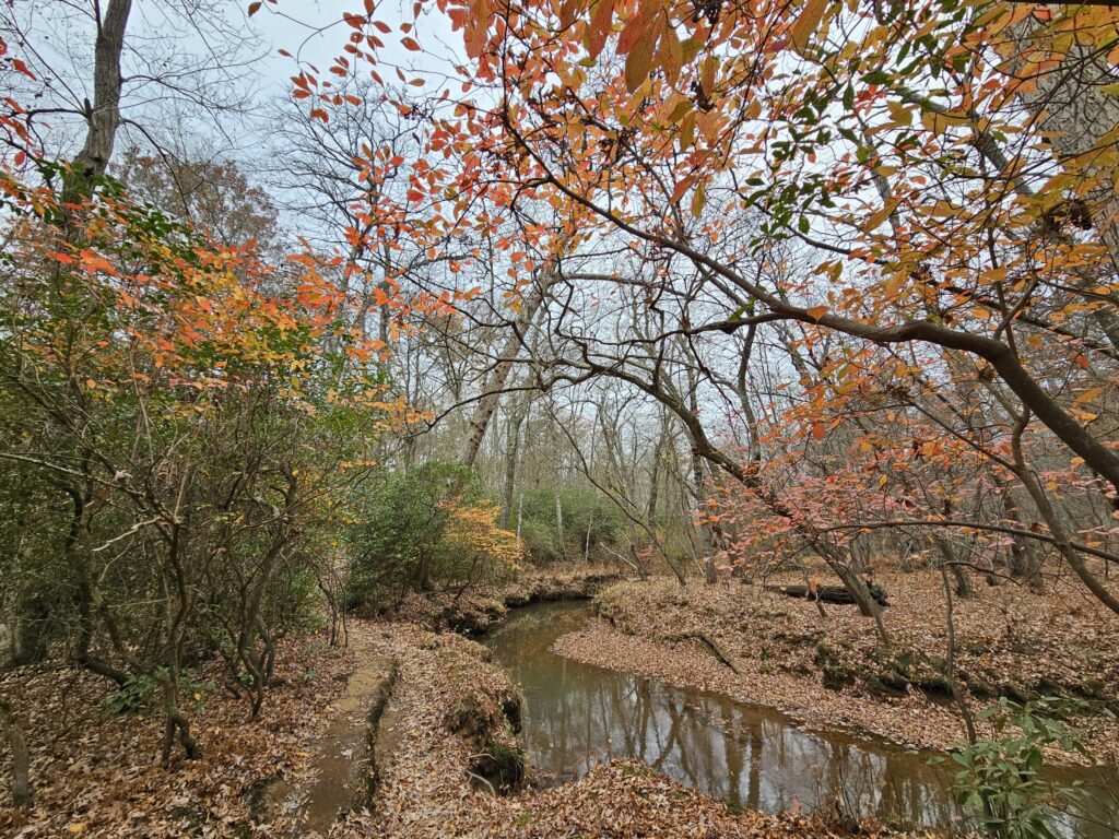 The Squan Tavern provided inspiration for a great Hike and Slice™ at Shark River Park